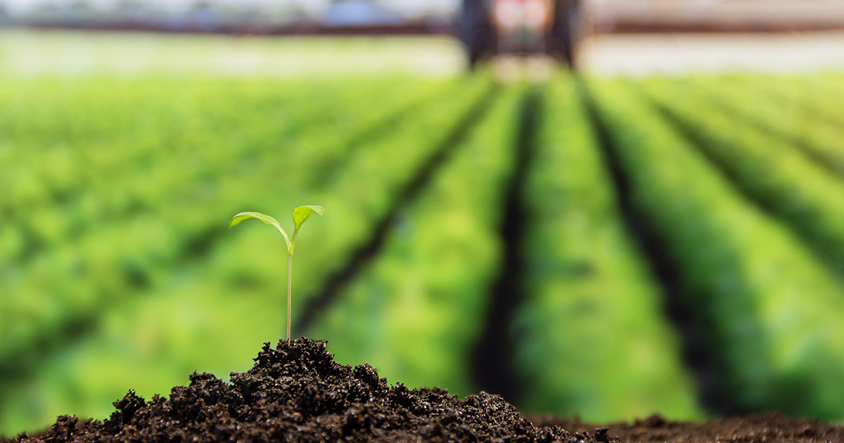 Bioheat Fuel in CT: What You Need to Know | Generation NEXT Energy Pros